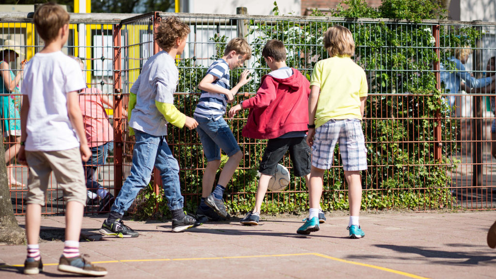Nursery and Primary | European School of Bergen (NL)