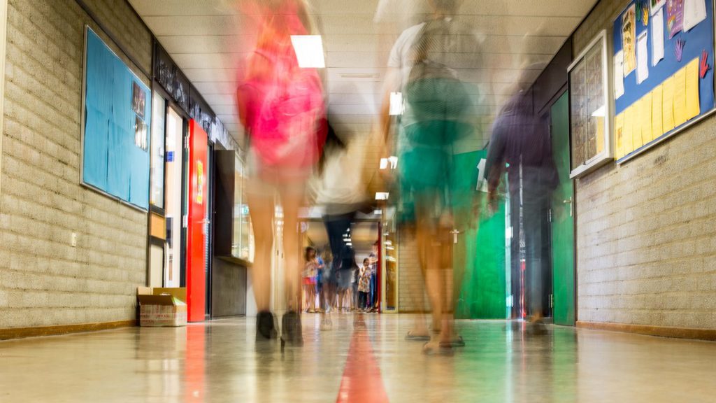 Home page | European School of Bergen (NL)